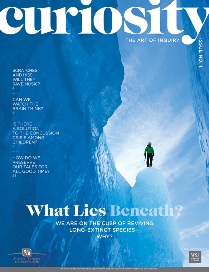 NEW! Curiosity Magazine - Welcome to Mia's Cargofolio!