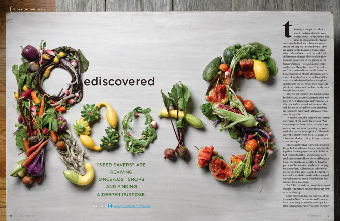 NEW! Curiosity Magazine - Welcome to Mia's Cargofolio!